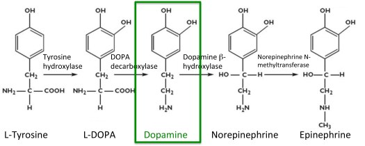 Dopamine: A Symbol of Hope – Journey with Parkinson's