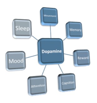 Purple Haze of Parkinson’s: How Dopamine Works – Journey with Parkinson's