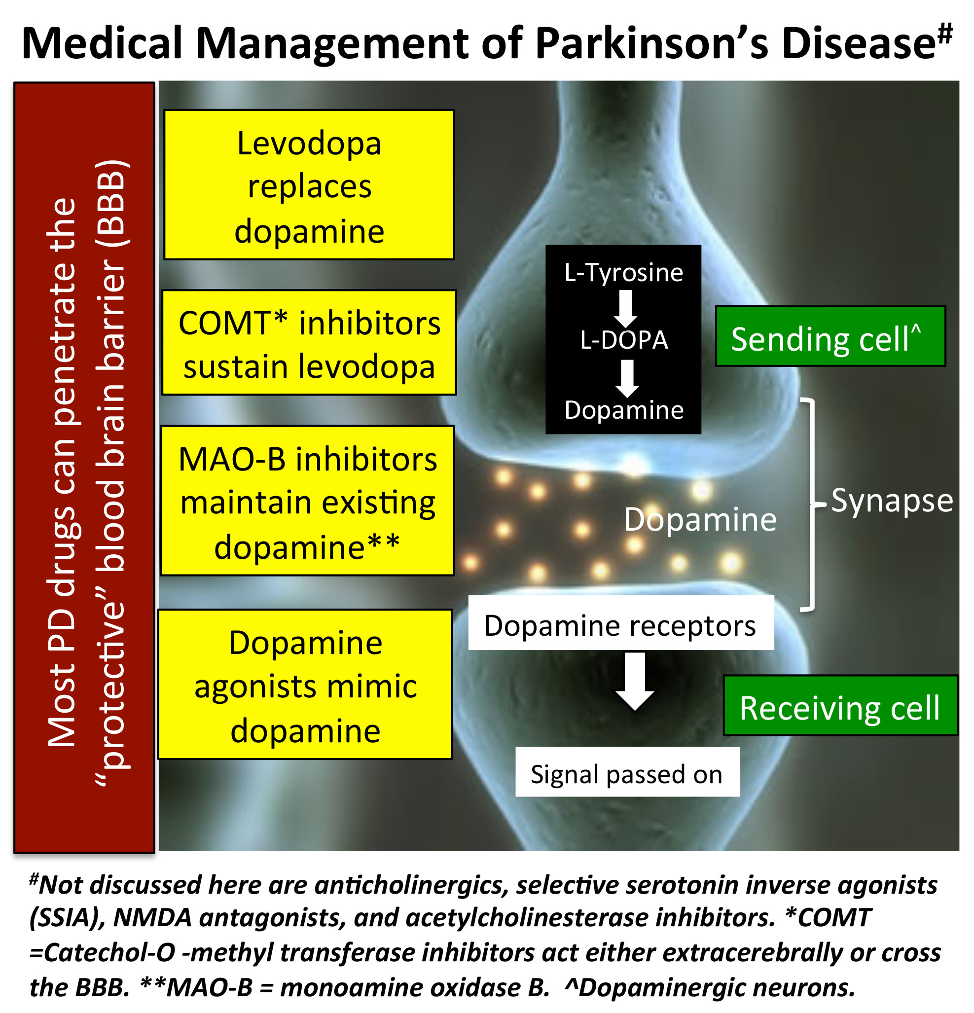 “Go the Distance” With MAO-B Inhibitors: Potential Long-term Benefits ...