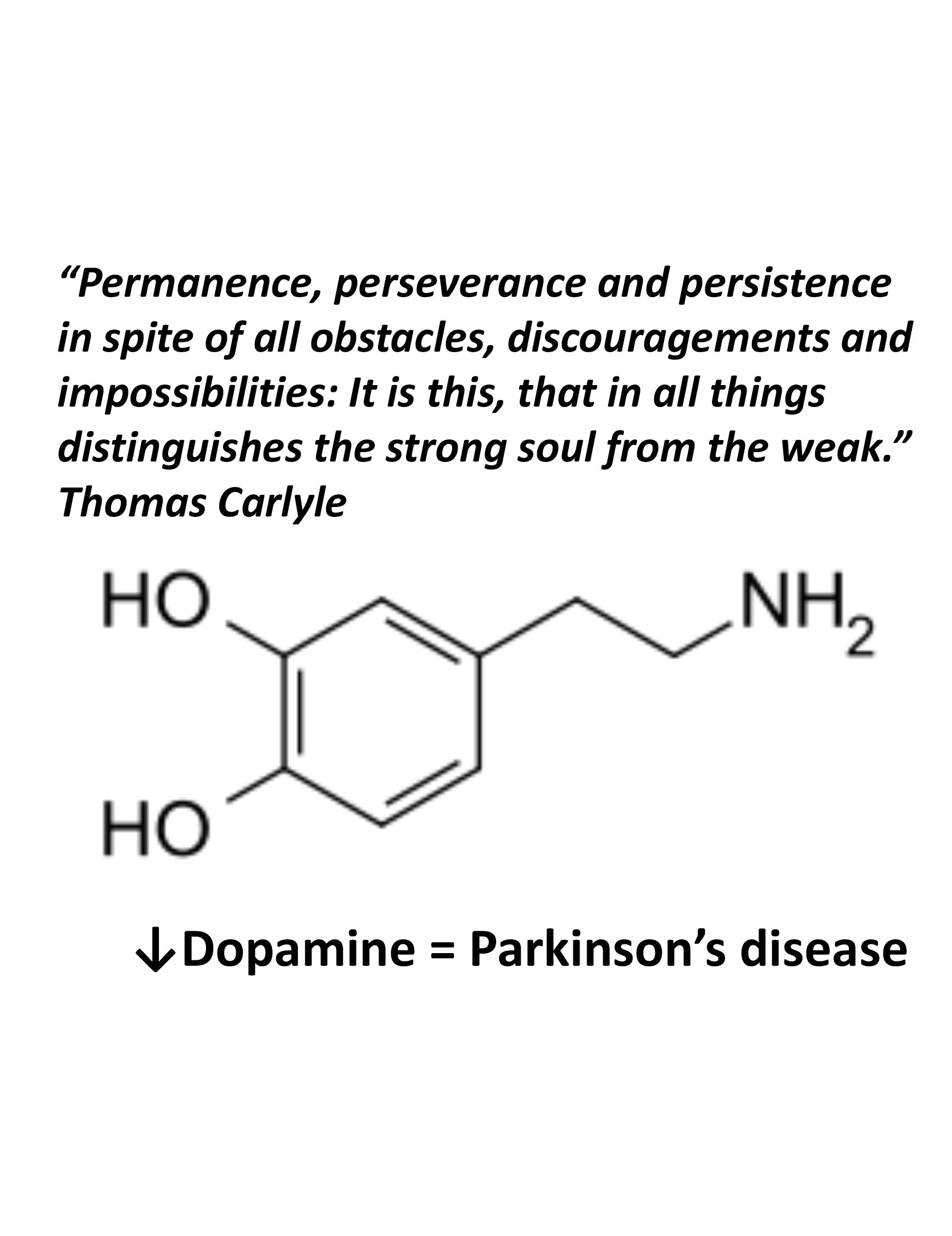 64 Quotes on Persistence to Help Your Journey With Parkinson’s Disease ...
