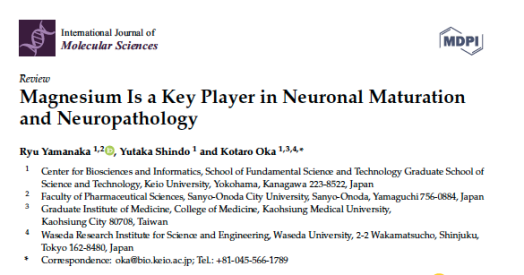 Importance of Magnesium in the Brain and Magnesium Threonate is ...