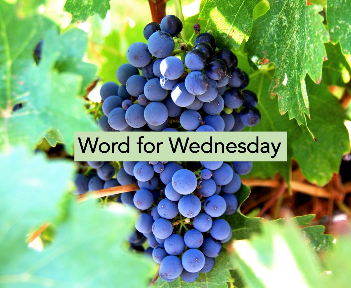 Word for Wednesday: Resilience – Journey with Parkinson's