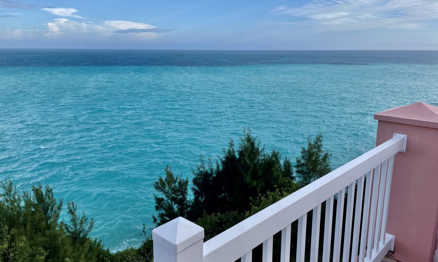 Brief Report: Comparison of the COMT Inhibitor Opicapone to Entacapone ...