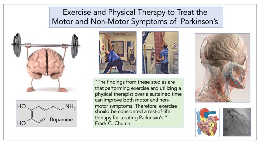 Persistent Exercise and Physical Therapy Improve Motor and Non-Motor Symptoms of Parkinson’s ...