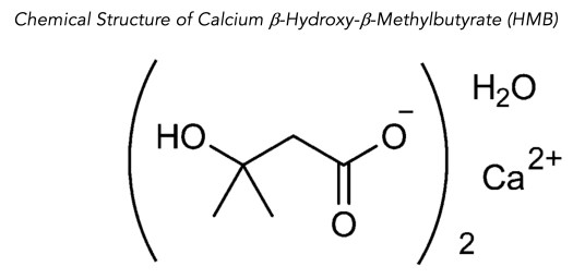 Beta-Hydroxy-Beta-Methylbutyrate (HMB) and Vitamin D to Potentially ...