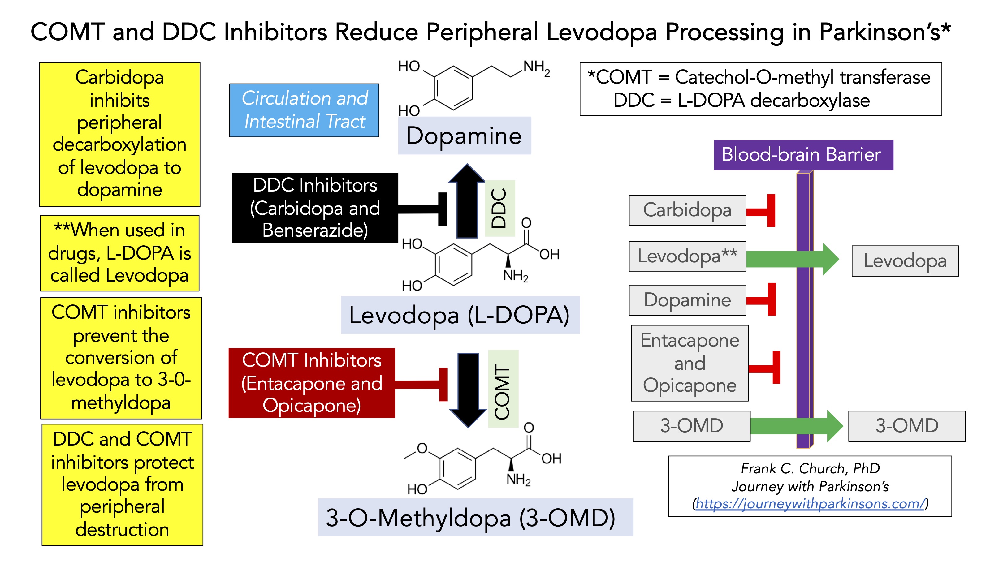 Brief Report: Comparison of the COMT Inhibitor Opicapone to Entacapone ...